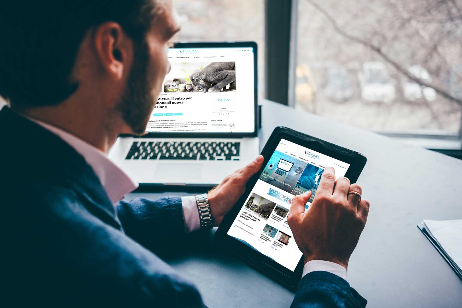 The peculiarities of the VitrumLife project